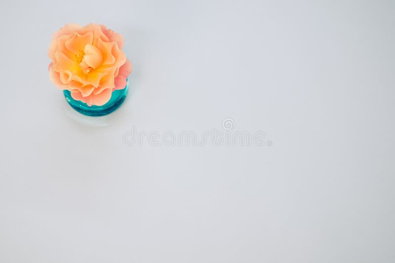 Closeup Shot of a Polymer Clay Flower Isolated on a Light-blue ...