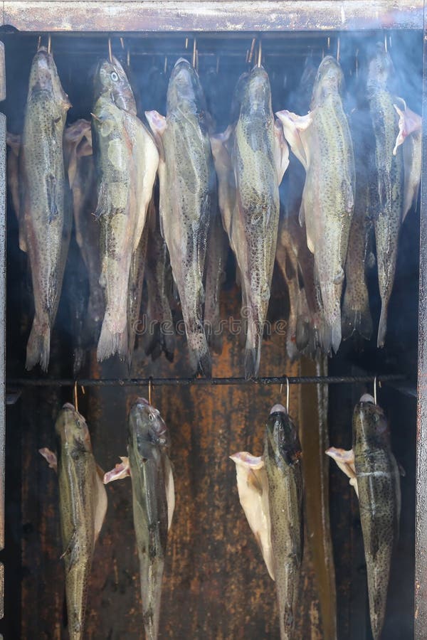 Process of smoking fish stock photo. Image of object - 200127586