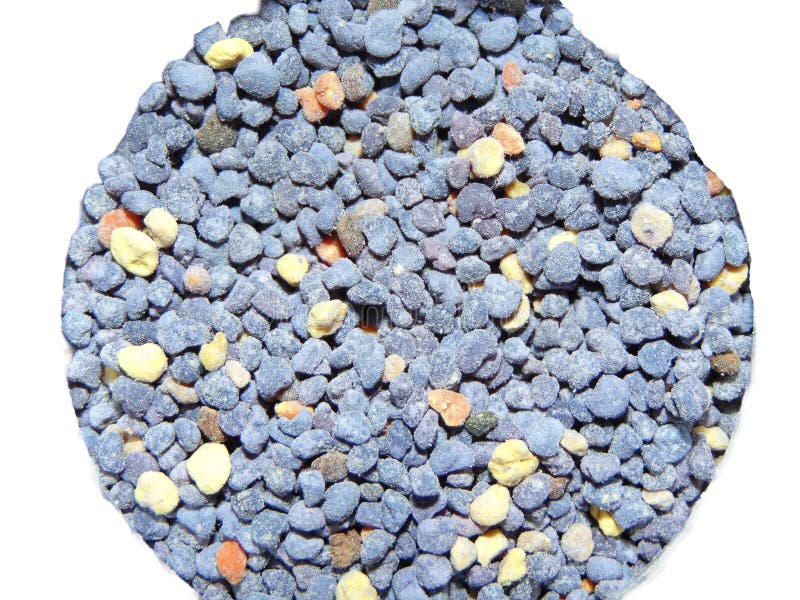 Closeup Shot of Raw Phacelia Pollen. Raw Bee Pollen Stock Image - Image ...