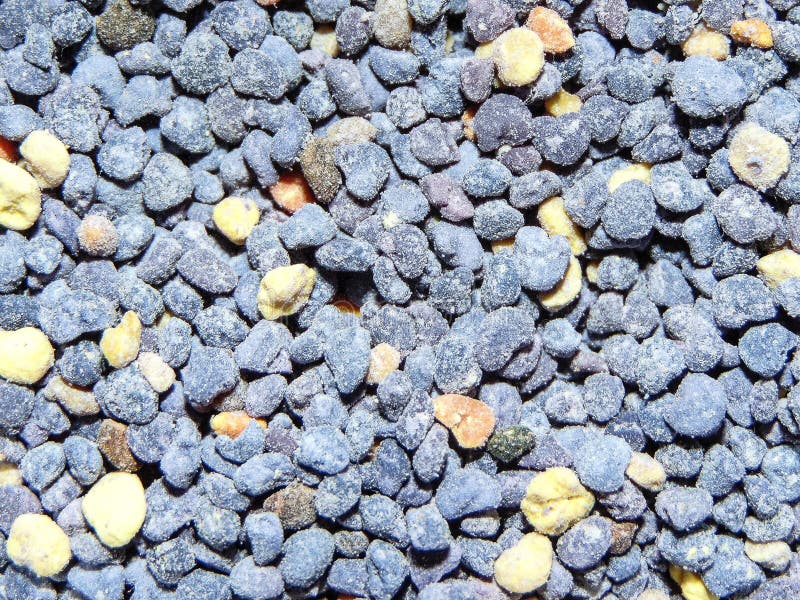 Closeup Shot of Raw Phacelia Pollen. Raw Bee Pollen Stock Image - Image ...