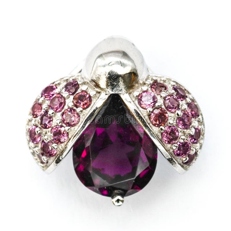 Closeup Shot of a Red Garnet Pendant with the Shape of a Ladybug Stock ...