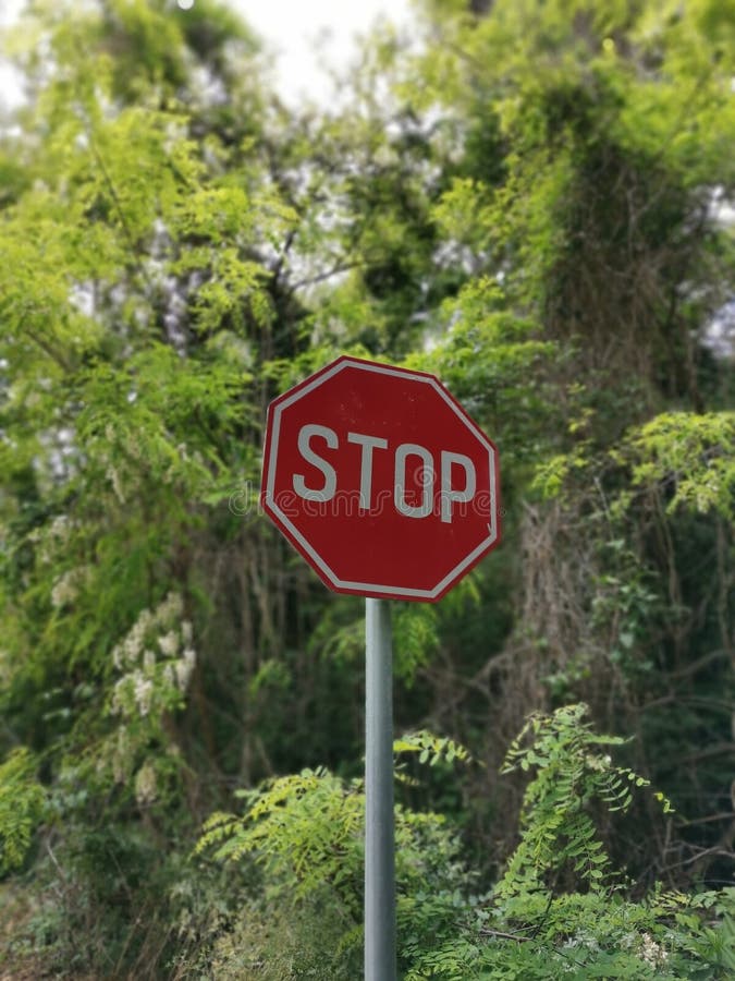 Closeup Shot of Road Sign Stop in the Forest Stock Image - Image of ...