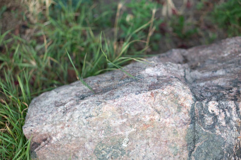 Closeup Shot of a Rock Surrounded by Grass Stock Photo - Image of ...
