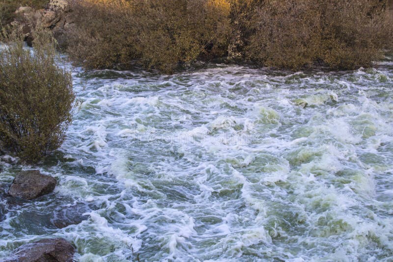 Down by the stream stock photo. Image of nature, watercourse - 214975816