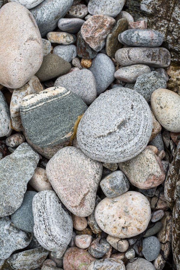 Closeup Shot of Rounded Beach Pebbles at the Shore Stock Photo - Image ...