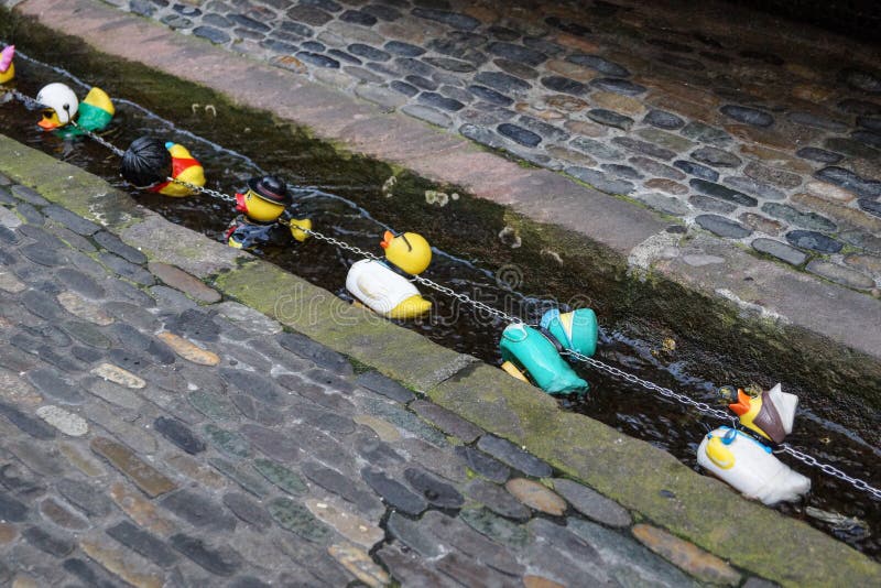 Closeup Shot of Rubber Ducks Linked with a Chain in a Water Stream ...