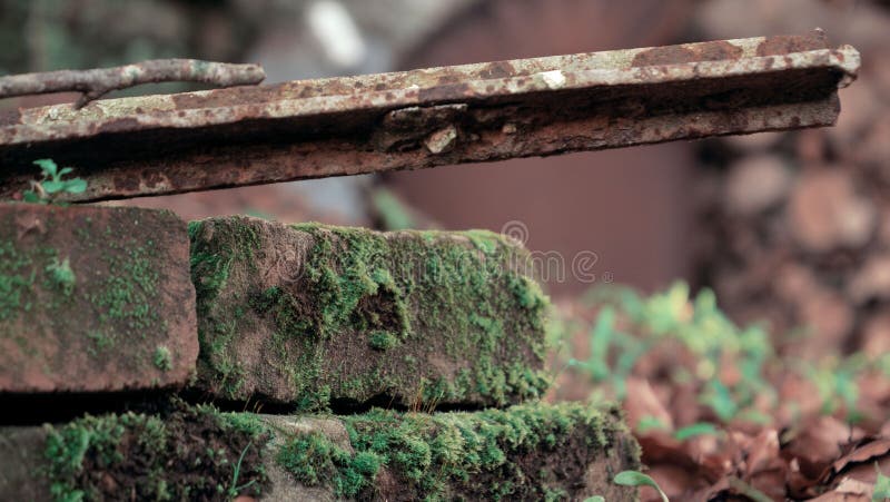 Closeup Shot of a Rusty Metal Pole on Bricks Covered in Moss Stock ...
