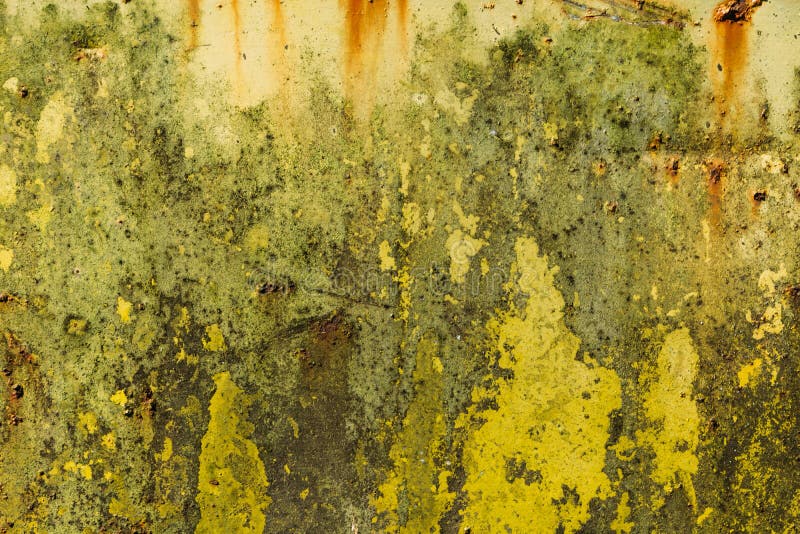 Closeup Shot of a Rusty Yellow-green Surface Stock Image - Image of ...