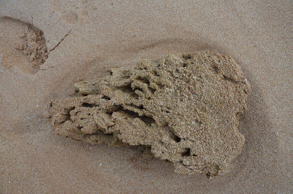 Closeup Shot of a Sand Formation on the Beach Stock Image - Image of ...