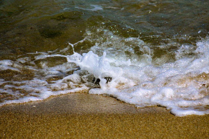 Closeup Shot of Seafoam Bubbles from a Wave at a Beach Stock Photo ...