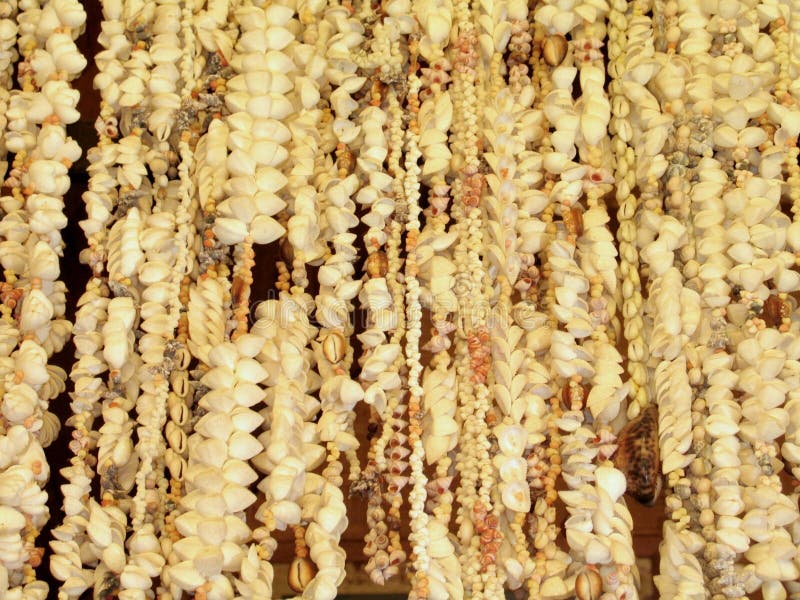 Closeup Shot of Seashells Attached To Ropes in Bora Bora. French ...