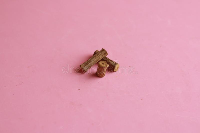 Closeup Shot of Small Branch Pieces on a Pink Background Stock Photo ...
