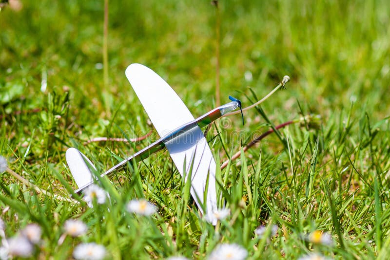 Closeup Shot of a Small Plane Toy on the Ground Covered in Greenery ...