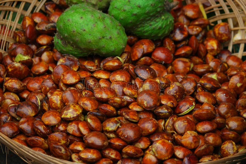 Guyabano seeds stock image. Image of tropical, muricata - 137451031