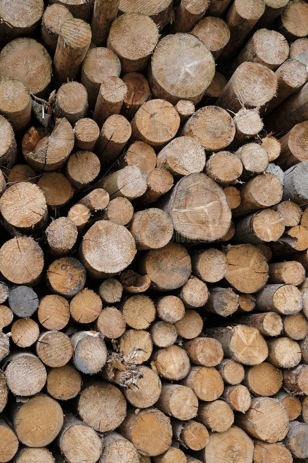 Stack of logs wooden stock image. Image of building, frontyard - 98284951