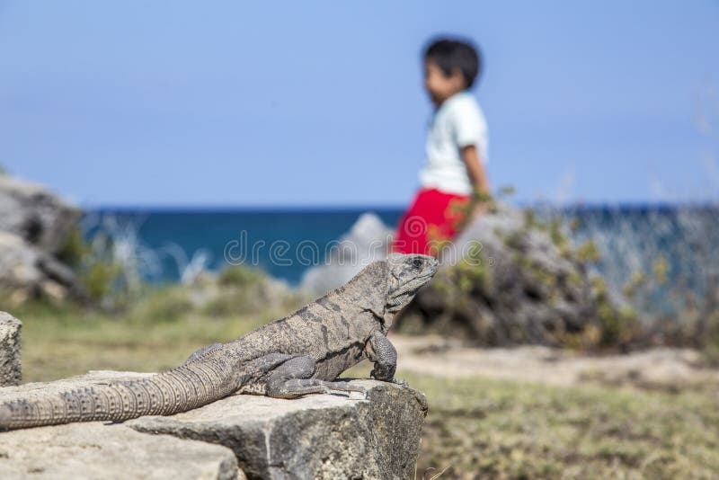 Stone Lizard stock photo. Image of monument, desert, ancient - 320766