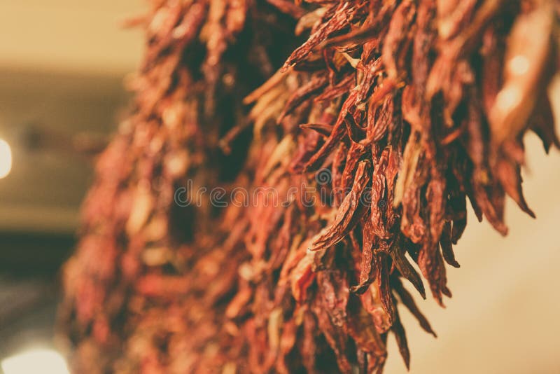 String of Dried Red Pepper Hanging on a White Wall Stock Image - Image ...