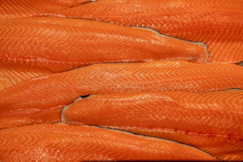 Closeup Shot of Tasty Looking Salmon Fillets Row Stock Photo - Image of ...