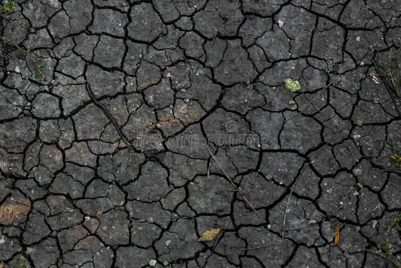 13,388 Light Soil Texture Stock Photos - Free & Royalty-Free Stock ...