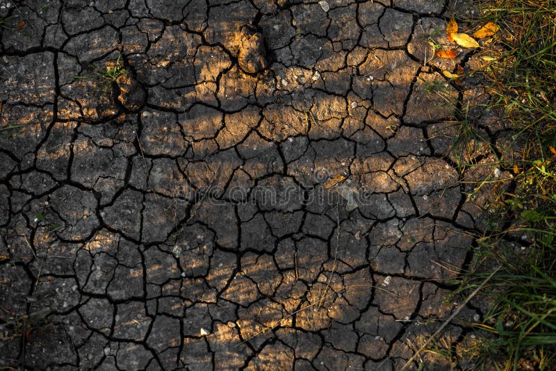 13,388 Light Soil Texture Stock Photos - Free & Royalty-Free Stock ...