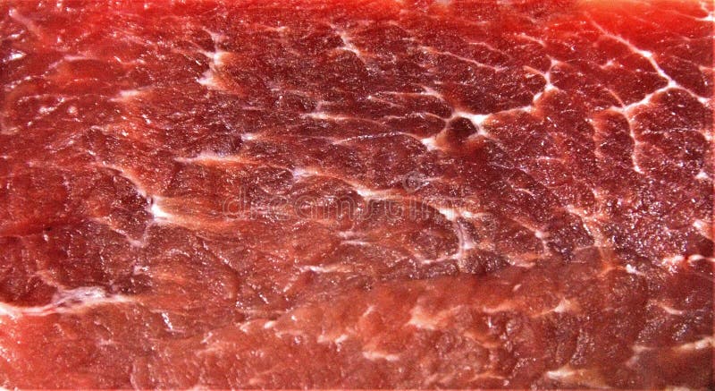 6,055 Muscle Texture Stock Photos - Free & Royalty-Free Stock Photos ...