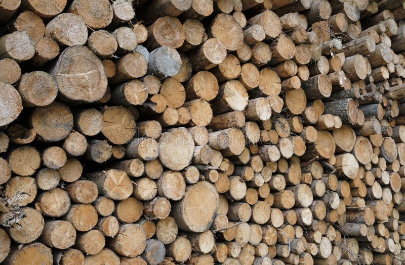 Logs Stack stock image. Image of forest, accurately, piece - 63246305