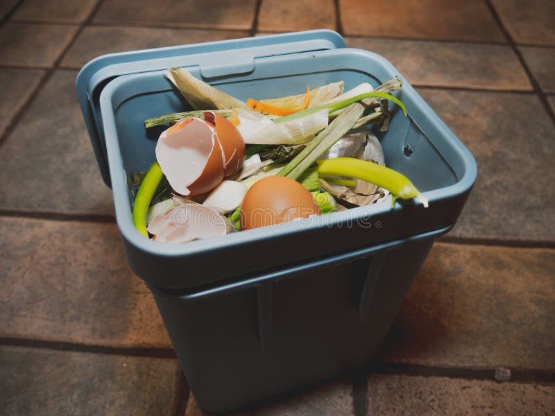 Closeup Shot of a Trash Bin with Food Waste Stock Image - Image of ...