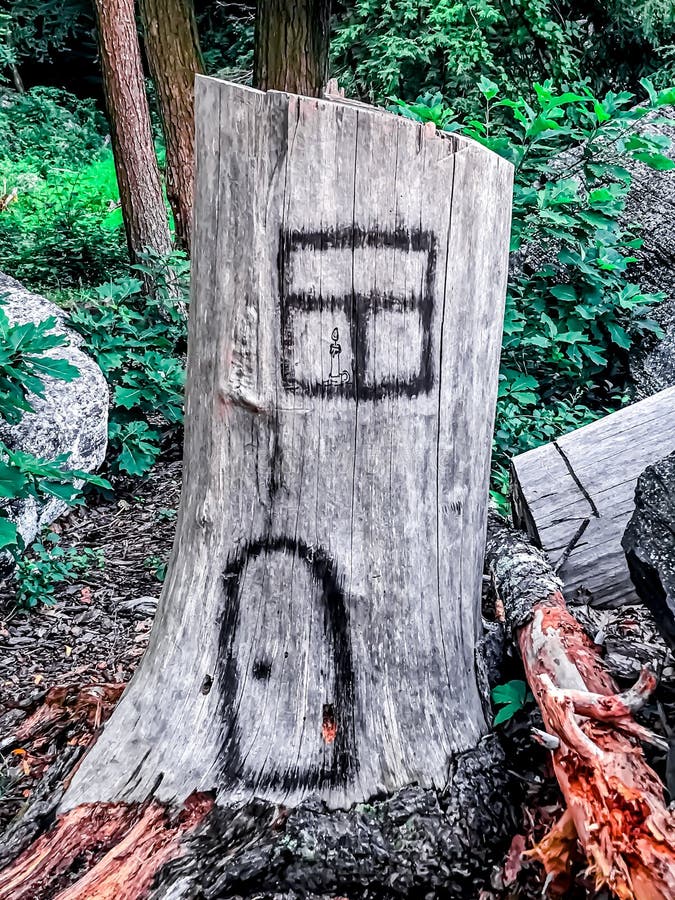 Closeup Shot of Tree Trunk with Markings. Stock Image - Image of ...
