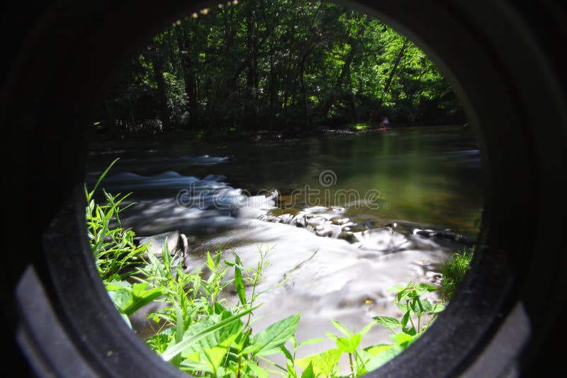 Closeup Shot of a Water Stream Surrounded by Trees Seen from a Circle ...