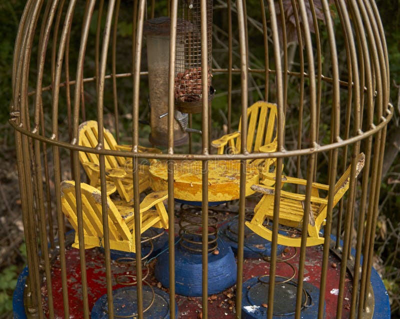 Closeup Shot of a Yellow Carousel in a Parrot Cage Stock Image - Image ...
