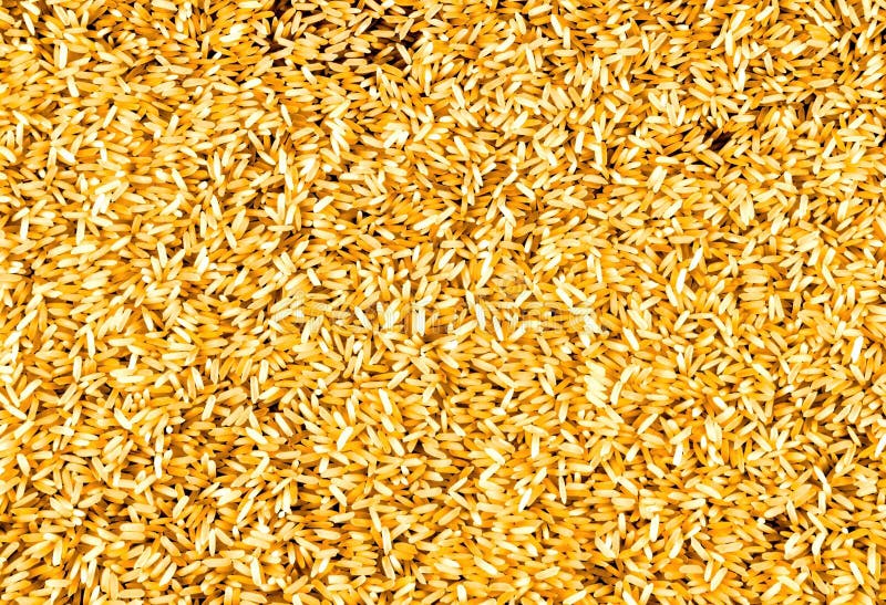 Closeup Shot of Yellow Rice Spread on the Surface Stock Image - Image ...