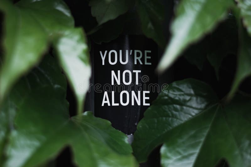 Closeup Shot of a You`re Not Alone Text on a Post Surrounded by Leaves ...