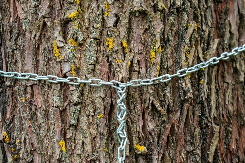 Chain Tied Around Wood Stock Photos - Free & Royalty-Free Stock Photos ...