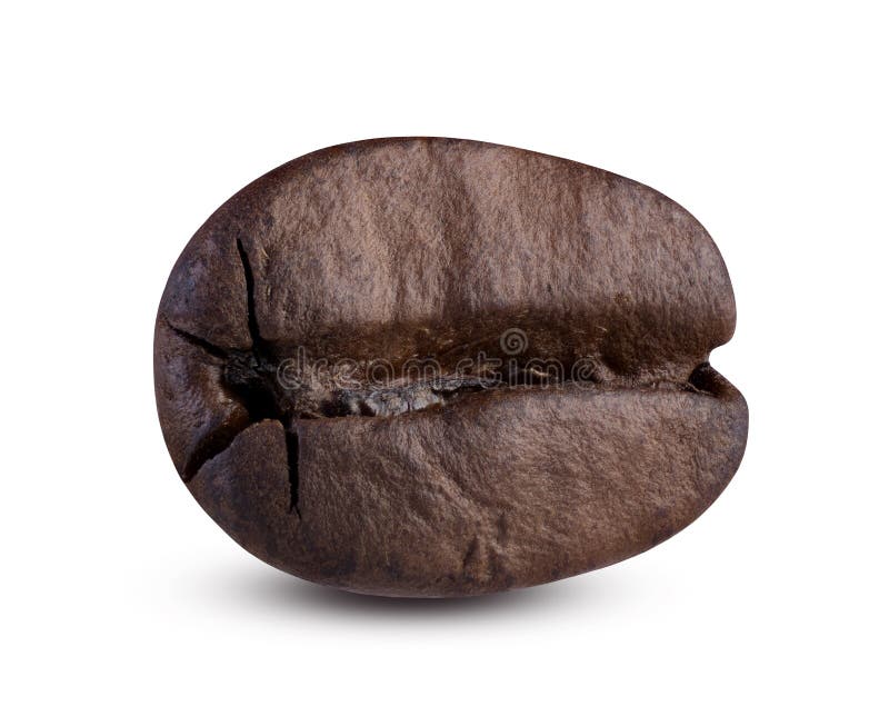 Closeup of Single Coffee Bean Isolated on White Background Stock Photo ...
