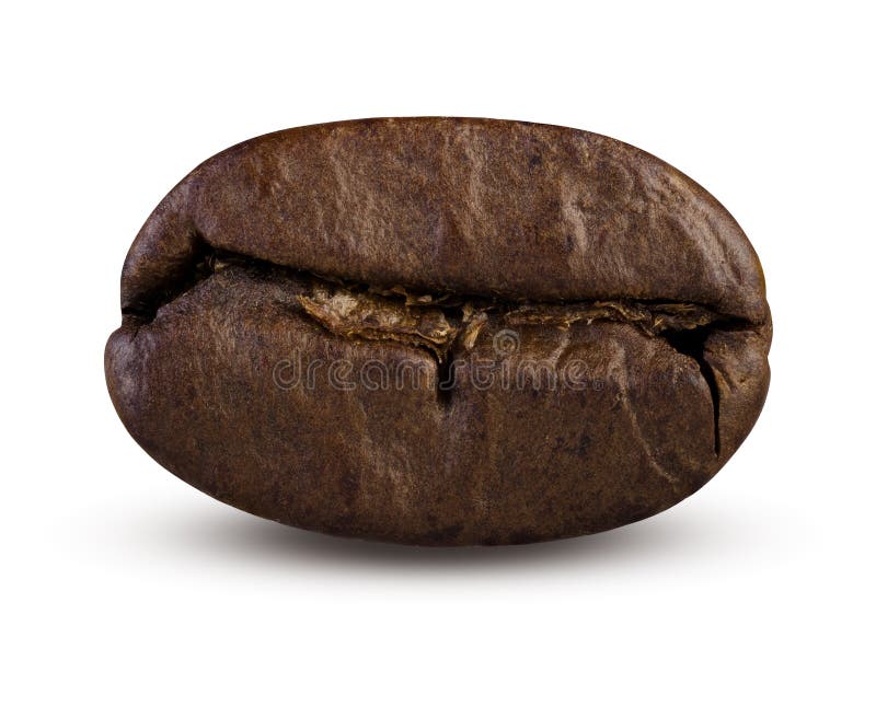 Closeup of Single Coffee Bean Isolated on White Background. this Image ...