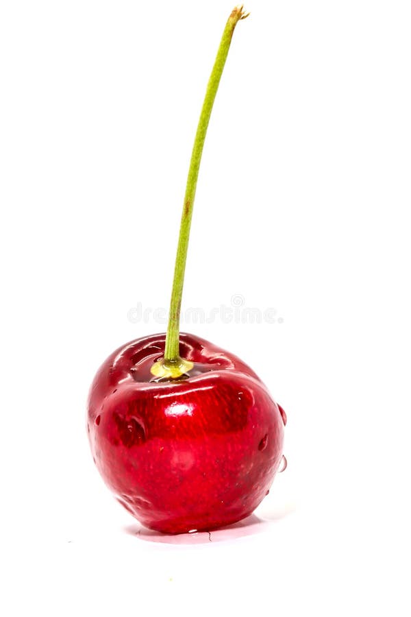 Closeup of Single Fresh Cherry on White Background Stock Image - Image ...