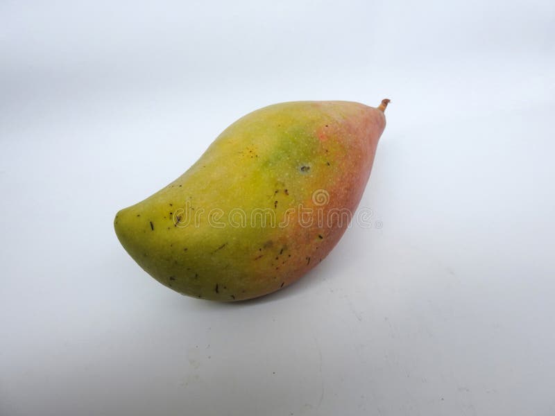 Single and Group of Totapuri Raw Mango Fruit Isolated on White ...