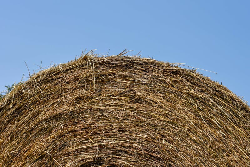 Closeup of a Single Hay Bale Stock Image - Image of angle, grain: 123547979