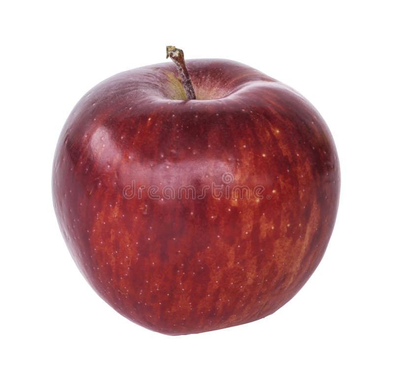 Closeup single red apple stock photo. Image of mature - 243767788