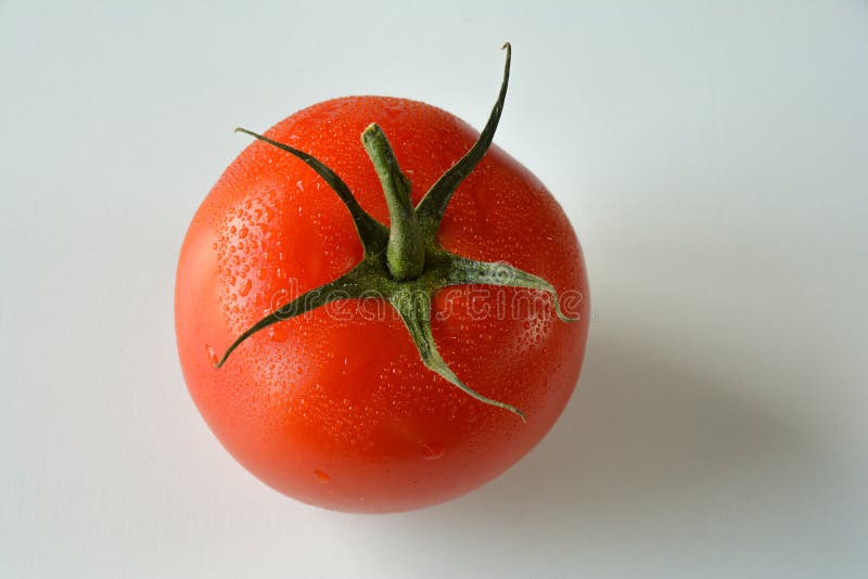 Closeup of a single tomato stock image. Image of agriculture - 89595655
