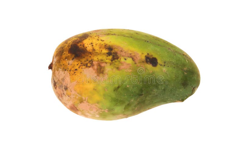 Closeup of Single Yellow Mango Isolated on White Background Stock Image ...
