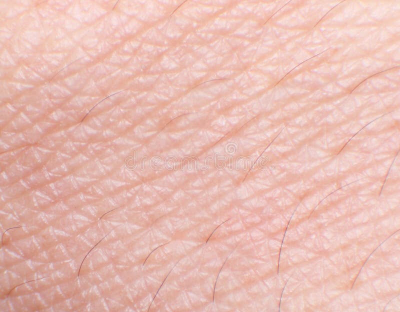 Closeup Skin Back of Hand stock image. Image of back - 79154727