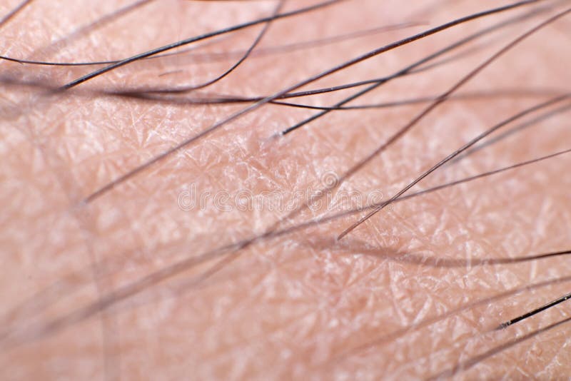 Closeup Skin with Leg Hair stock photo. Image of complexion - 79085318