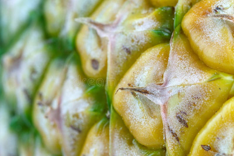 The Closeup Skin of the Pineapple for Soft Background Stock Image ...