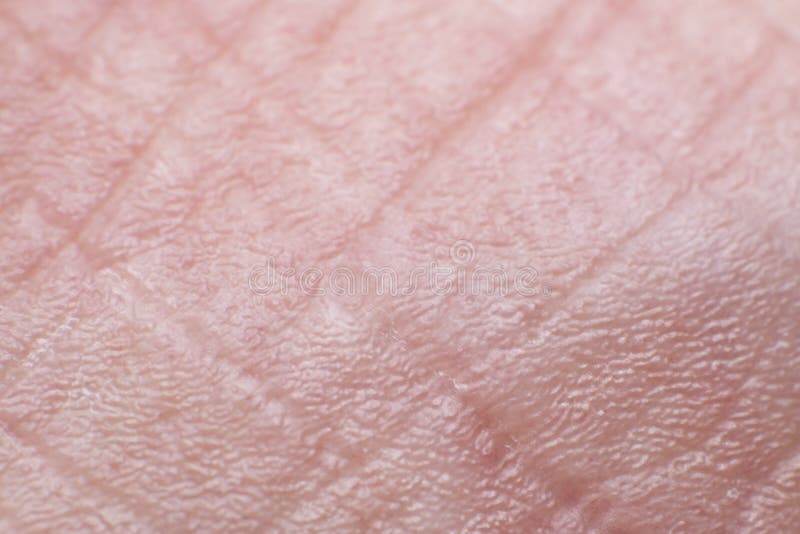 Closeup Skin "Side Foot" Stock Image - Image of people, human: 79085373