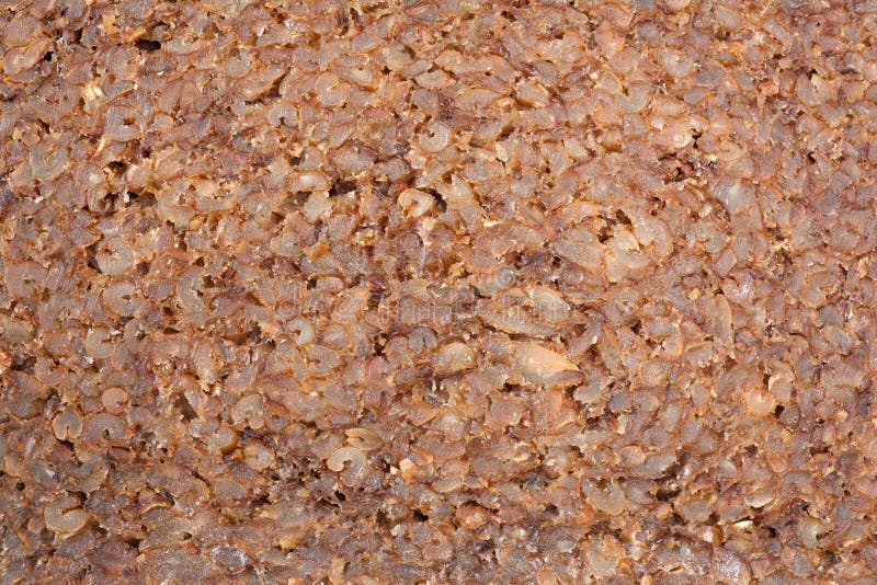 Closeup of Slice of Brown Rye Bread Stock Photo - Image of delicious ...