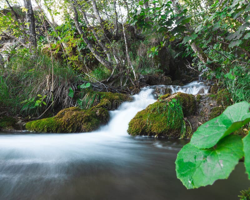 Closeup of a Small Cascade with Mossy Rocks in a Forest Stock Photo ...
