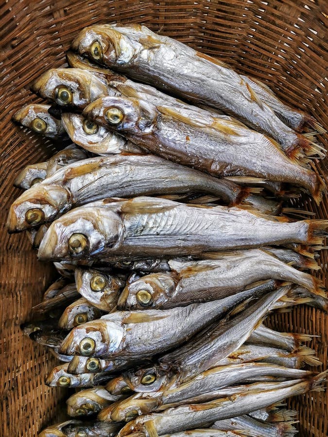 Small Dried Fish or Dilis stock photo. Image of food - 96559976