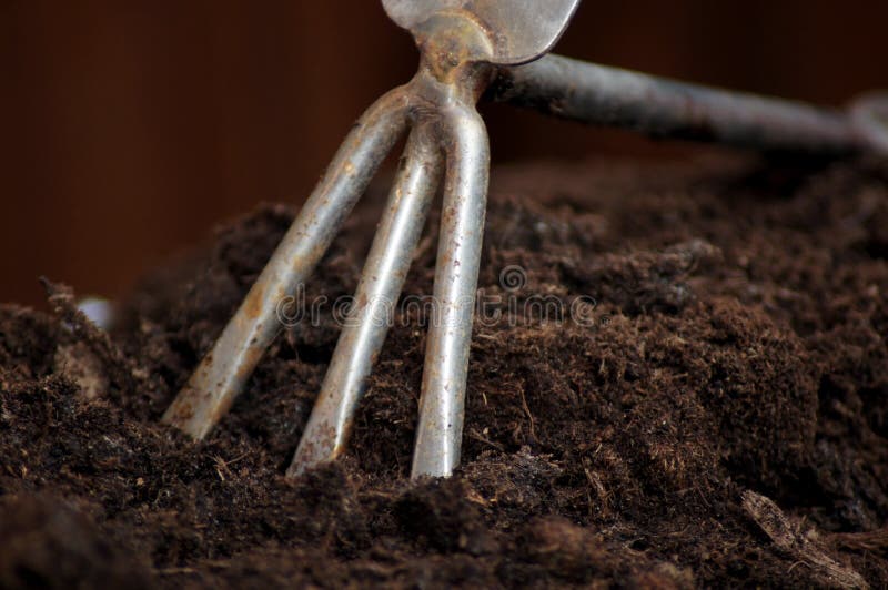 Closeup of a Small Gardening Fork on Soil Under the Lights with a ...