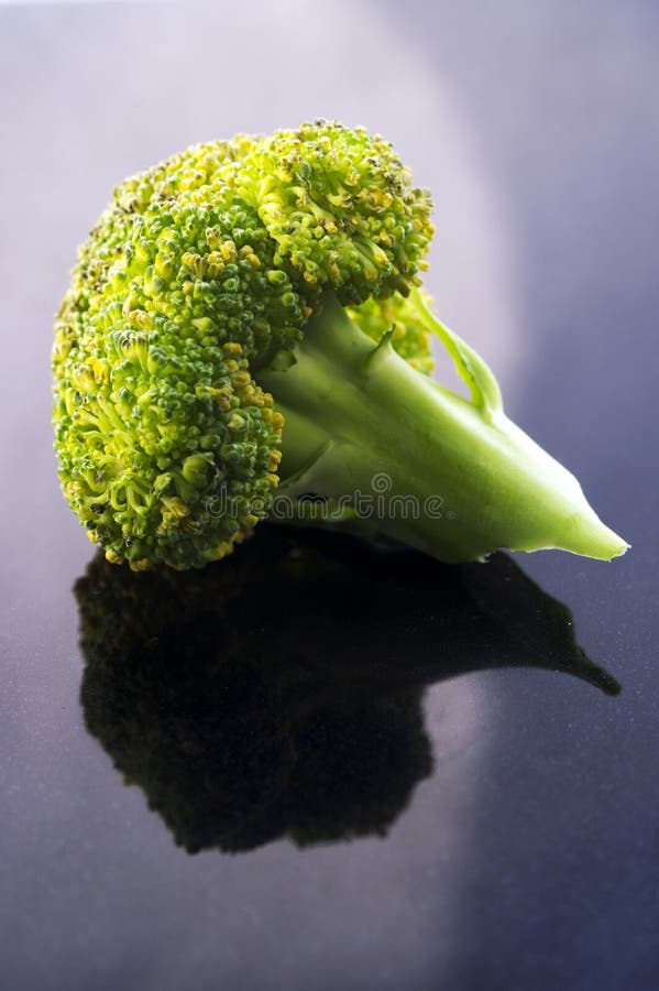 Closeup of a Small Piece of Broccoli on Blue Stock Image - Image of ...